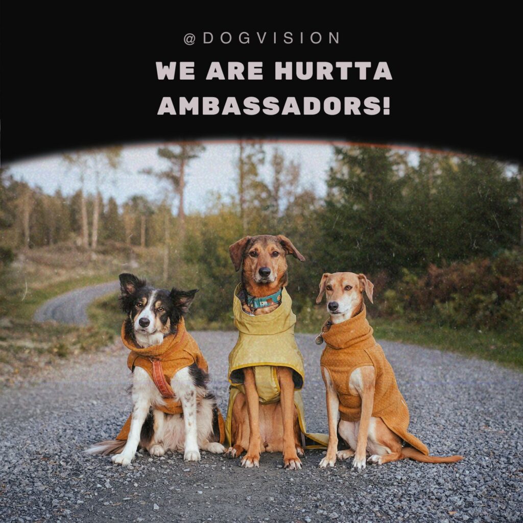 DOGvision | DOGvision x Hurtta, 2024 Hurtta Ambassador, dog photography ...