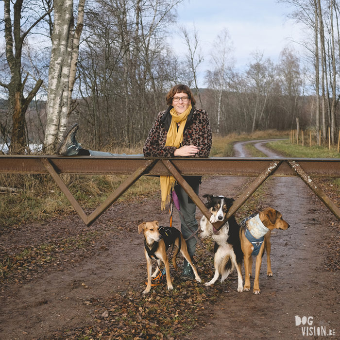 DOGvision | Dog photography tips for hiking/adventure dog photography ...