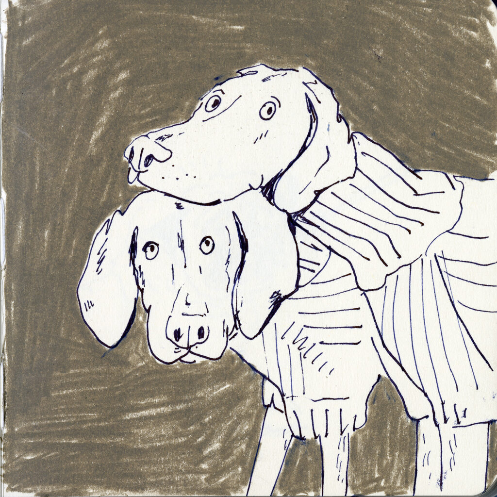 DOGvision | Drawing one dog a day